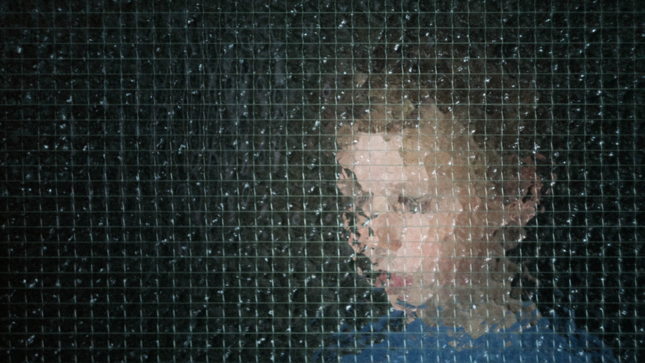 PAUL BACHMANN — FICTION